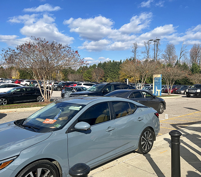 The spacious parking lot somehow always seems to have spaces available, even during peak shopping seasons. A retail miracle indeed.