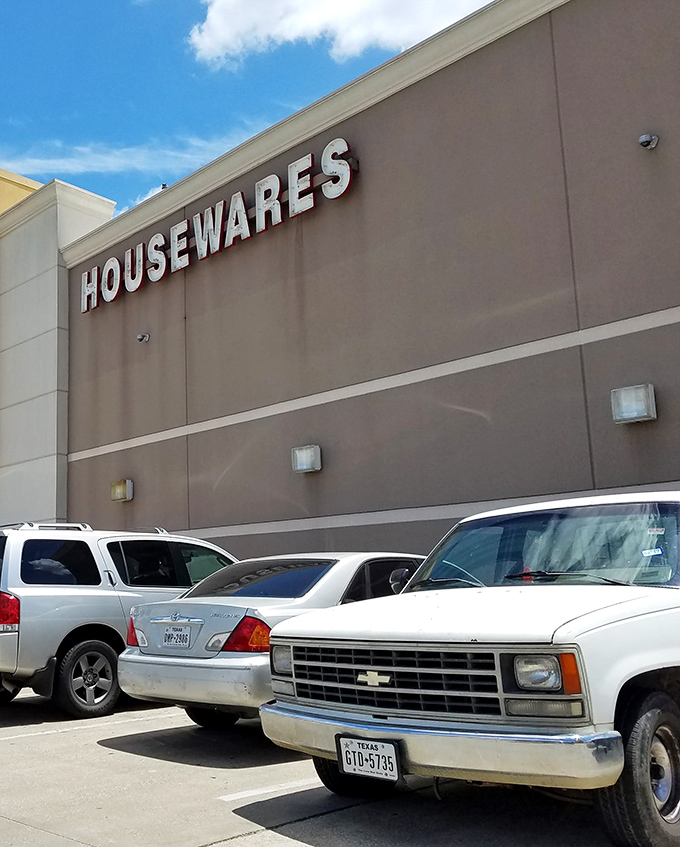 Even the parking lot tells a story—trucks and sedans from every era, united in the universal quest for bargains.
