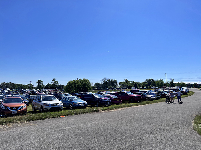 The packed parking lot tells the real story&mdash;Pulaski County Flea Market isn't just shopping, it's a weekend destination worth traveling for.
