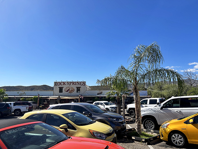 A parking lot full of license plates from across America&mdash;the universal sign that you've found somewhere special. Pie pilgrims have arrived.