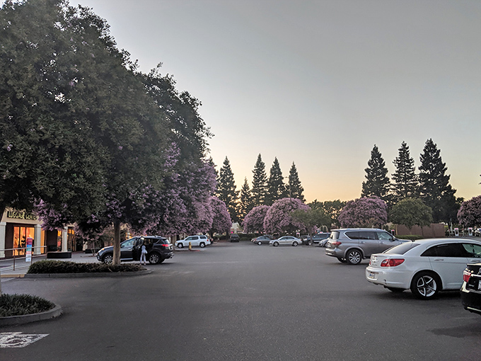 As dusk settles over the parking lot, purple-flowering trees frame the perfect California ending to a day of retail conquest.
