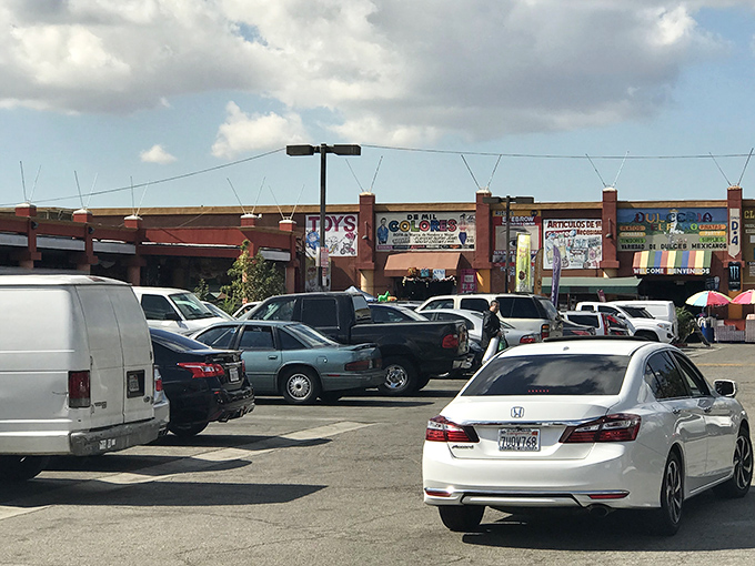 The parking lot&mdash;final frontier before discovery. Cars patiently waiting while their owners navigate the labyrinth of bargains within.