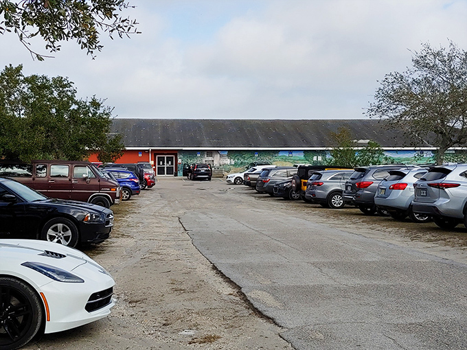 The unassuming entrance to wonderland. This parking lot is Florida's version of platform 9&frac34;&mdash;ordinary asphalt that leads to extraordinary discoveries.