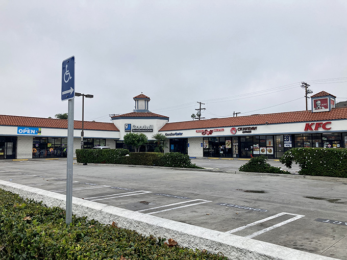 The shopping center habitat of this Goodwill shows its natural environment—nestled between fast food and convenience, but offering something far more lasting.