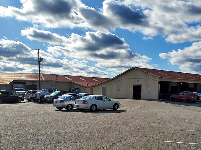 Even the parking lot tells a story&mdash;each vehicle representing someone inside currently saying, "I'll just browse for five minutes" (narrator: "They were there for hours").