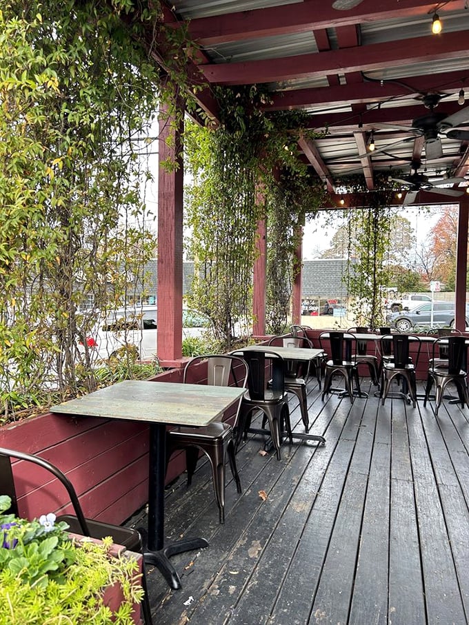 The vine-covered patio offers al fresco dining where fresh air makes every bite taste even more extraordinary.