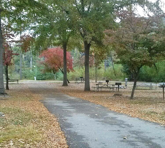 Fall's golden carpet rolled out for picnickers. These tables have hosted more memorable family meals than most dining rooms.