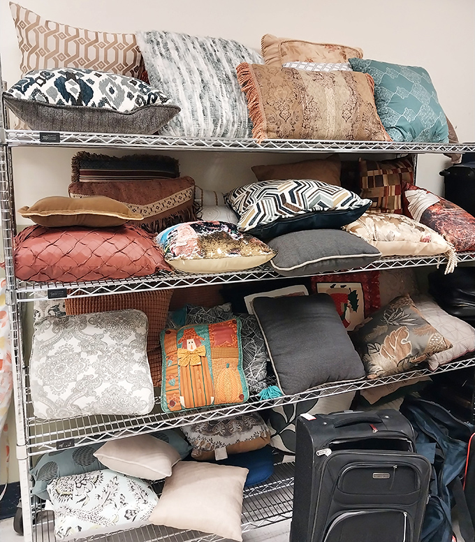 The pillow section: where interior design dreams and budget realities find their happy medium in a cloud of textile possibility.