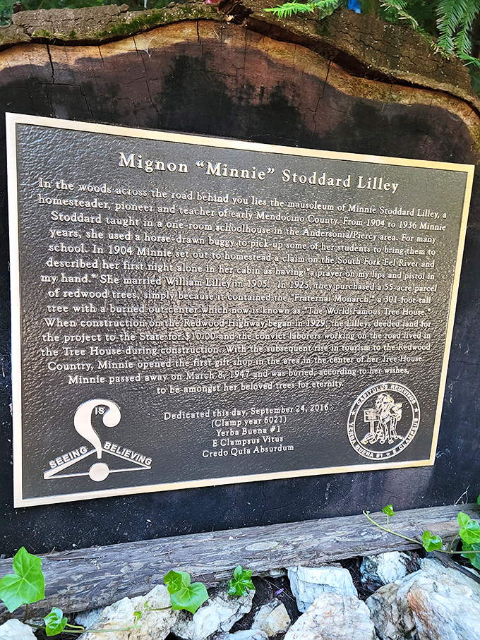 A historical plaque reveals the area's connection to local pioneer Minnie Stoddard Lilley &ndash; adding unexpected depth to this quirky roadside stop.