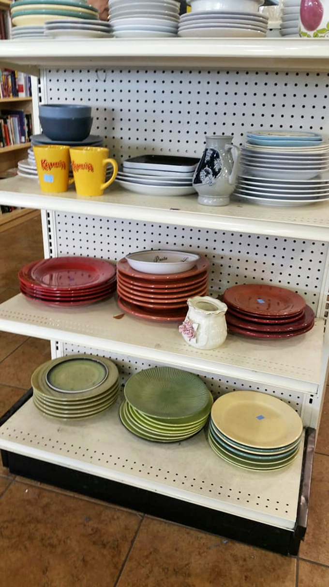 Plate paradise where mismatched becomes intentional design. These colorful dishes are ready to serve up style alongside your home-cooked meals for pennies on the dollar.