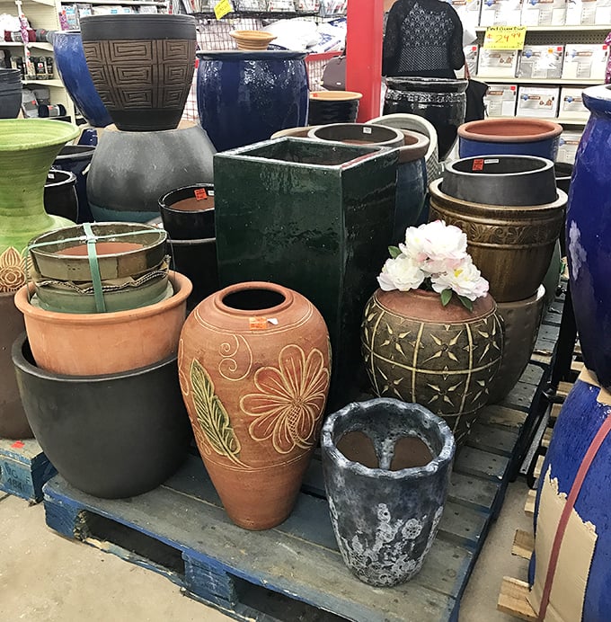 Garden planters gather like pottery party guests, each vessel promising to transform yards into Eden-like sanctuaries affordably.