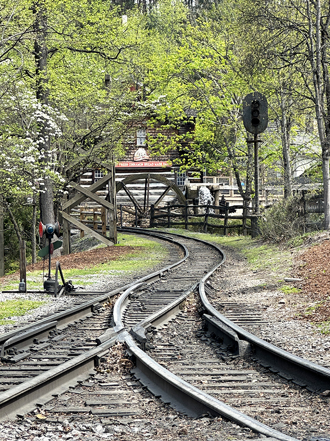 The winding tracks disappear around the bend, promising adventures unknown—the universal appeal of railroads captured in one perfect, leaf-dappled scene.
