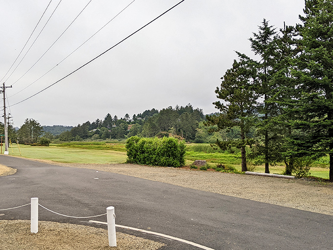 Country roads wind through pastoral landscapes just minutes from crashing waves, showcasing Oregon's remarkable diversity in one small village.
