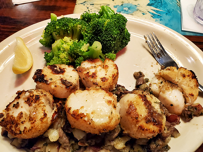 Perfectly seared scallops resting on a bed of savory goodness&mdash;proof that sometimes the simplest preparations create the most profound flavors.