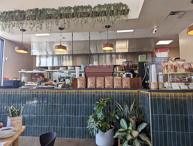 Behind the scenes where the magic happens. Those hanging plants add a touch of jungle canopy to this culinary laboratory.