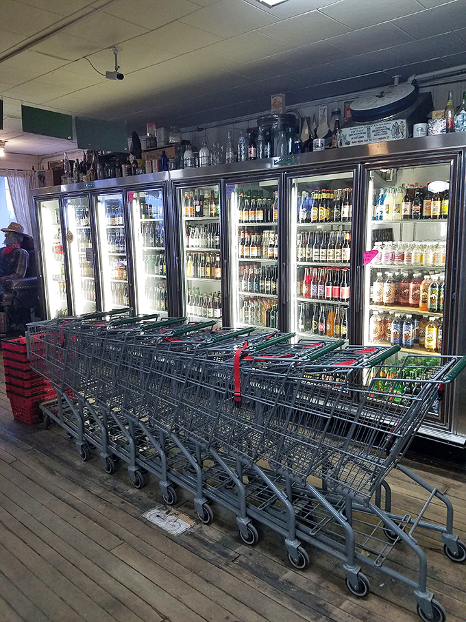 Shopping carts awaiting their next adventure. Behind them, a wall of refrigerated treasures promises refreshment after a day of exploration.