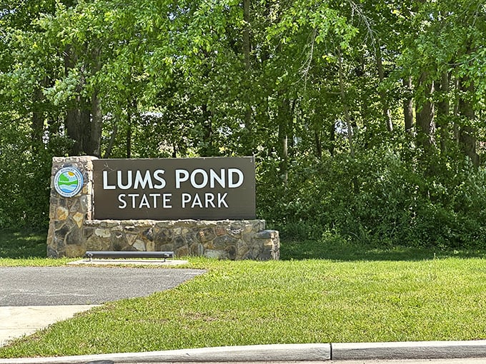 The welcome sign that promises adventure beyond. Like the wardrobe to Narnia, but with better picnic facilities.