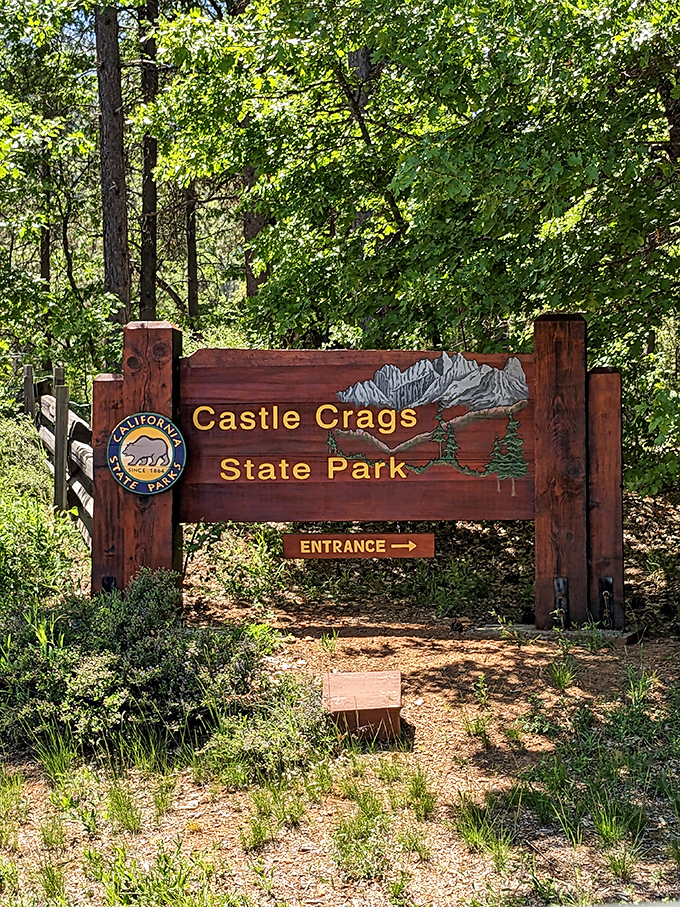 The gateway to adventure. This wooden sign marks the threshold between ordinary life and the extraordinary wilderness waiting just beyond.