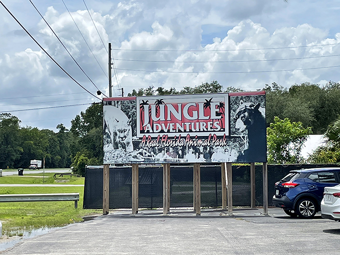 Roadside advertising that gets straight to the point: "Real Florida Animal Park" &ndash; because sometimes you need a break from the manufactured magic.