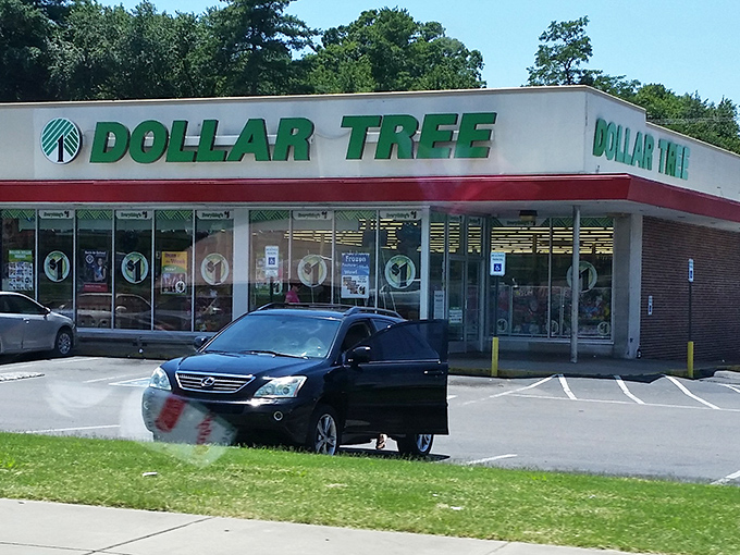 The classic storefront, where budget-conscious Tennesseans begin their quests for deals that feel like stealing (but completely legal).