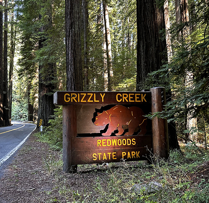The park entrance sign&mdash;less a boundary marker and more a portal to the California that existed before highways and smartphones.