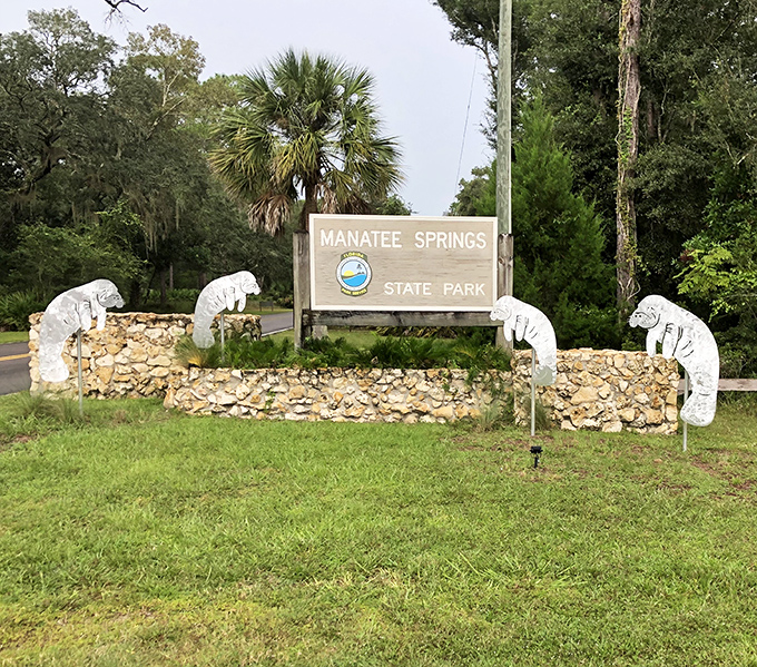 The park entrance announces your arrival at manatee territory with stone and sculpture. These gentle creatures have become Florida's aquatic ambassadors.