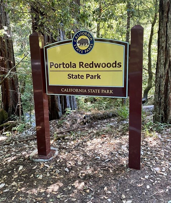 Trail markers: preventing the embarrassing call to rangers explaining you've been walking in circles for the past two hours.