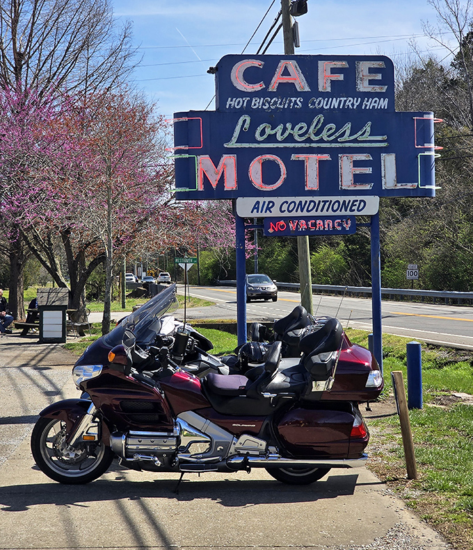 That vintage sign has been guiding hungry travelers to biscuit salvation since before GPS could even dream of such important work.