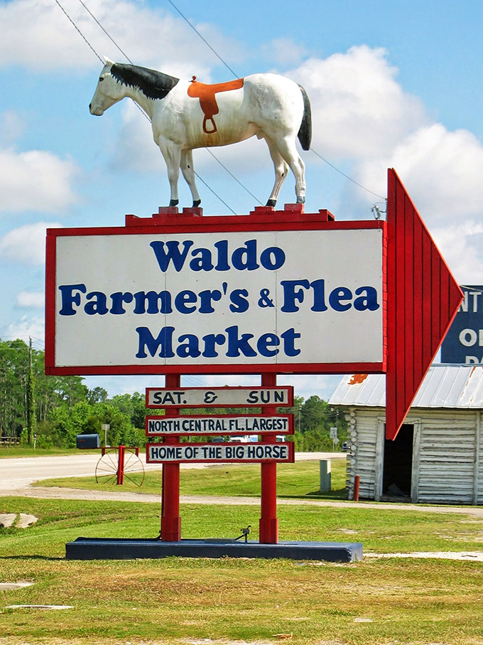 Not all who wander are lost&mdash;especially if they've spotted this iconic horse-topped sign pointing the way to weekend adventure.