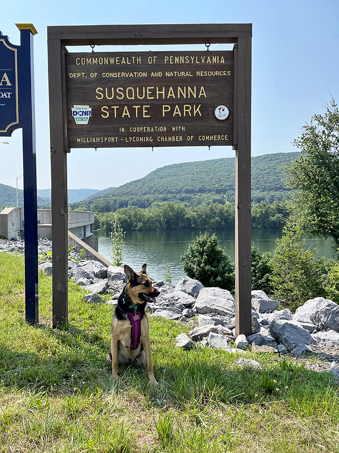 A four-legged ambassador greets visitors at the park entrance, where the wooden sign promises 20 acres of riverside tranquility.