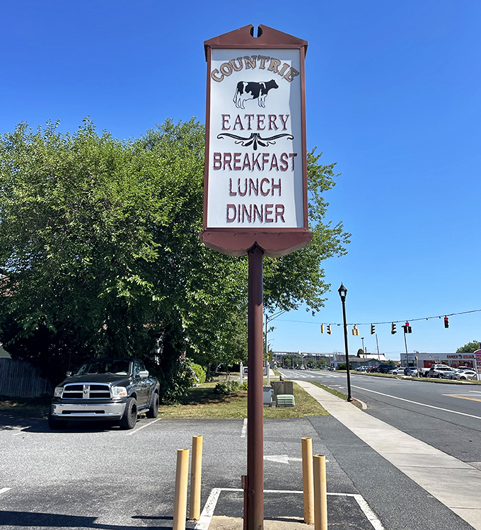 A sign that promises exactly what it delivers: honest food served three times daily. That cow knows what's up.