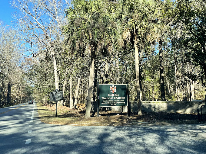 The entrance sign welcomes visitors to a botanical time machine, where centuries-old gardens await just beyond the palmettos.