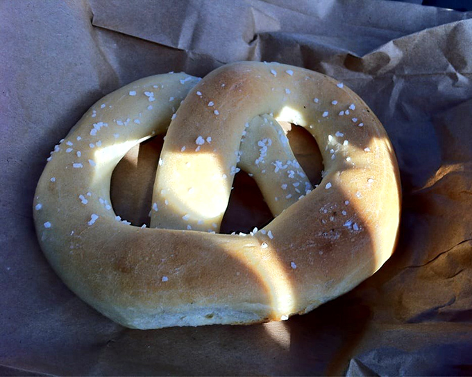 A single soft pretzel catching sunlight like a golden crown, proving simple perfection never goes out of style.
