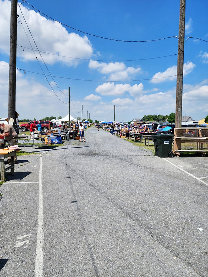 The flea market stretches toward the horizon like a treasure map unfolding. Somewhere down that aisle is the find of the century!
