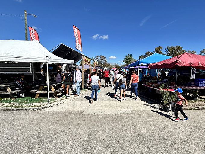 Weekend warriors navigate the bustling marketplace under Florida's blue sky, each on their own quest for that perfect something they didn't know they needed.