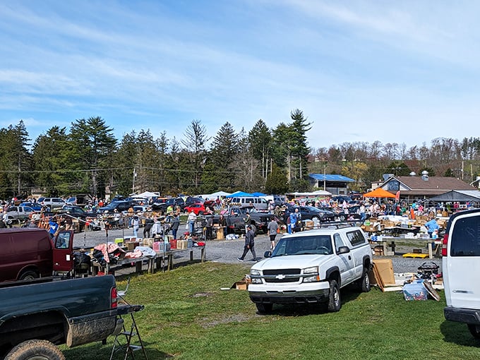 The grand overview&mdash;a sea of possibility stretching across the Pocono countryside. Each vehicle represents a mobile storefront of potential discoveries.