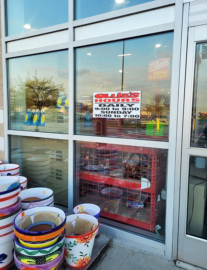 Colorful planters stand sentinel outside the entrance, like ceramic guards protecting the bargain kingdom within.