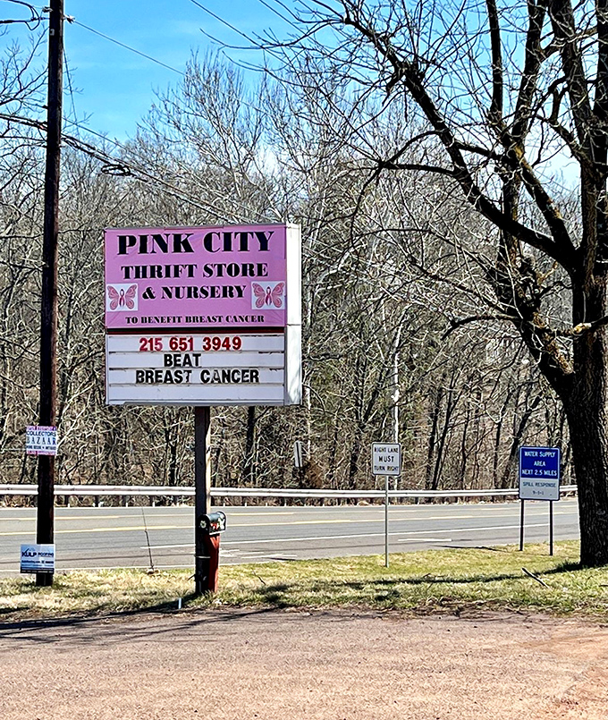 The roadside sign promises both plants and treasures, because apparently Green Acres meets Antiques Roadshow perfectly.