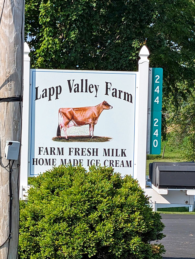 A sign that promises exactly what awaits—no marketing spin, just dairy truth. That illustrated Jersey cow isn't just a mascot—she's a quality guarantee.