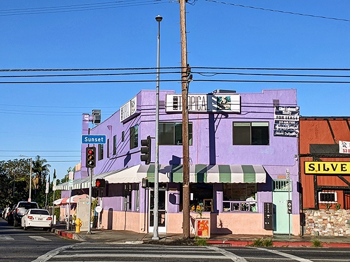 The corner of Sunset Boulevard has never looked so inviting&mdash;a lavender landmark that's been feeding Silver Lake's soul for generations.