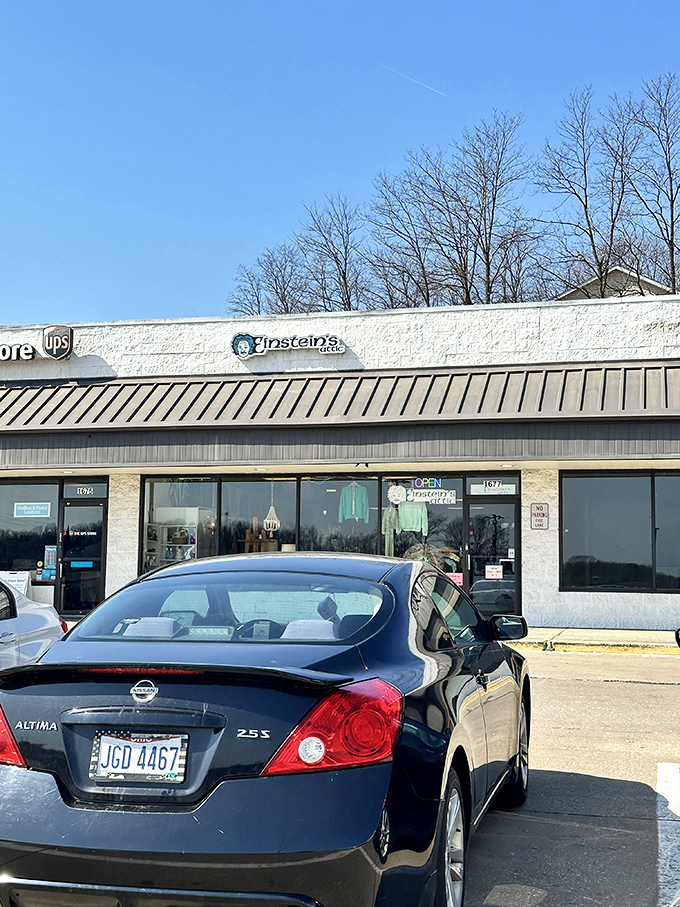 Morning sunshine illuminates Einstein's Attic storefront, beckoning treasure hunters to discover what scientific and vintage wonders await inside today.