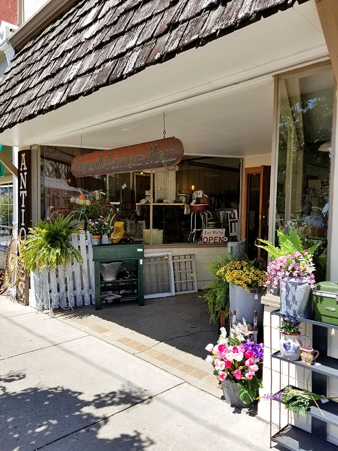 Summer blooms frame this inviting entrance, nature's way of saying "Yes, you absolutely need that vintage butter churn you never knew you wanted."