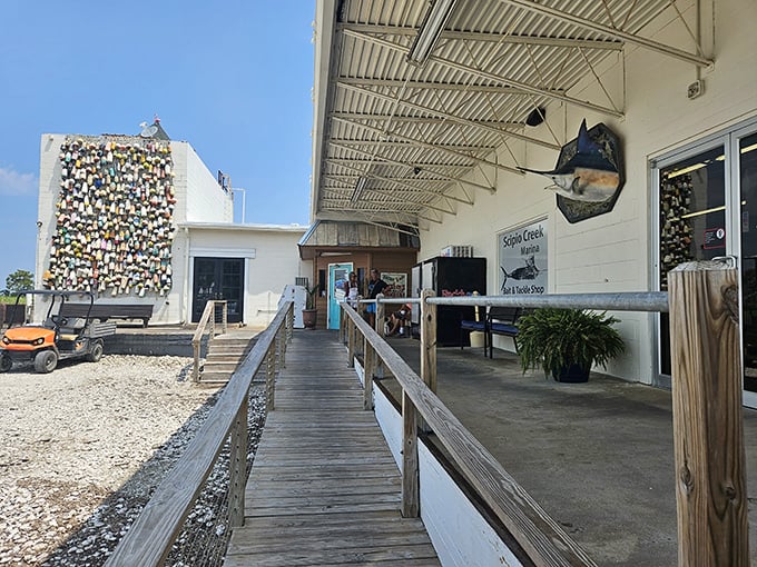The entrance beckons with that massive buoy wall, announcing this place takes its coastal credentials seriously and authentically.