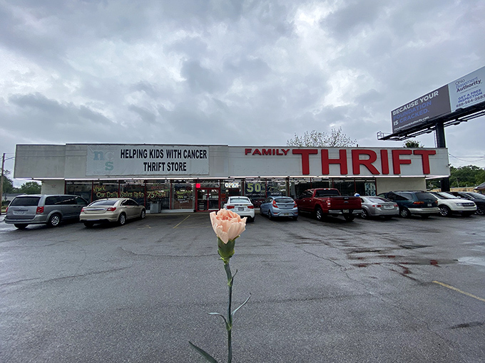 The storefront on a cloudy day, with a single flower in the foreground&mdash;a poetic reminder that beauty and new beginnings can be found in unexpected places.