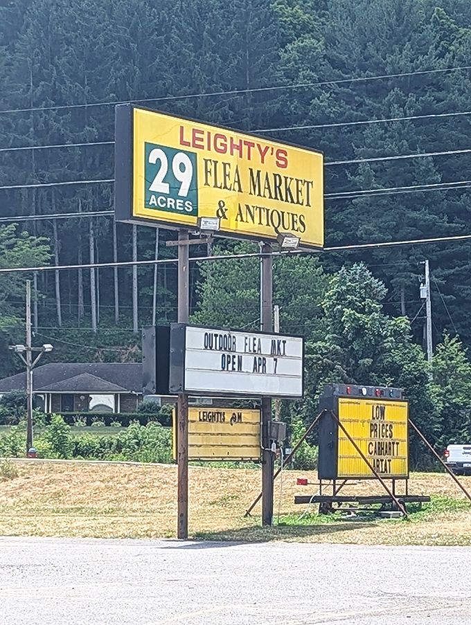 Twenty-nine acres of possibilities advertised on a classic roadside sign. The treasure hunt begins where the pavement ends.