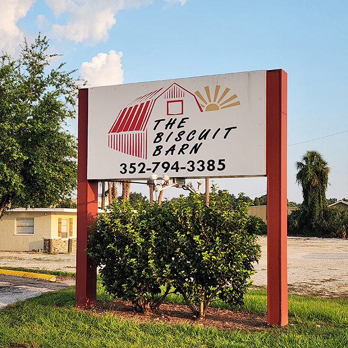 The roadside sign that beckons hungry travelers like a breakfast lighthouse. Follow it to biscuit nirvana.