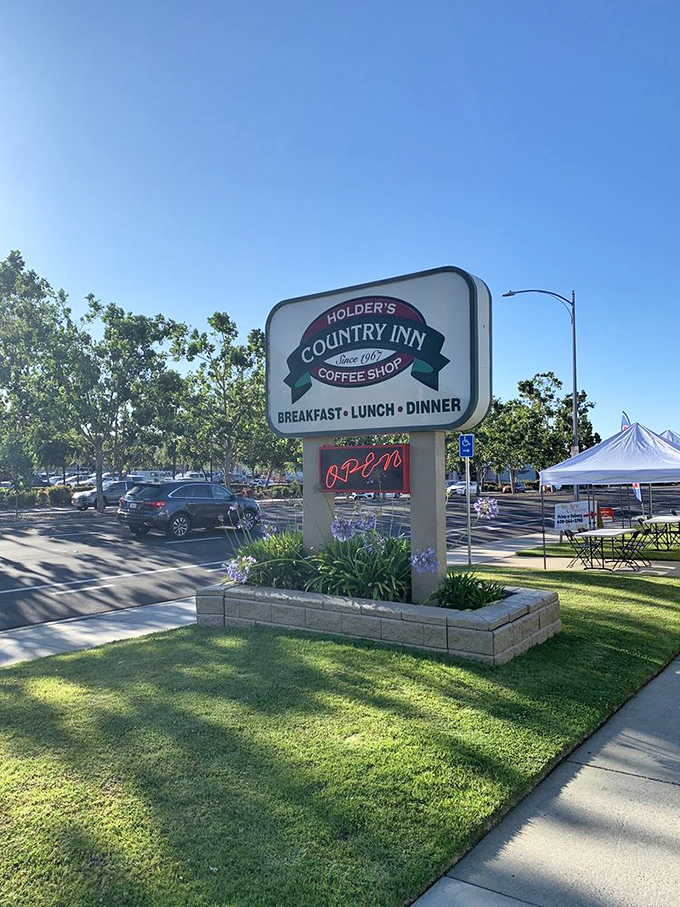 The roadside sign stands like a beacon of hope for hungry travelers. Morning sunshine makes everything look like a fresh start.