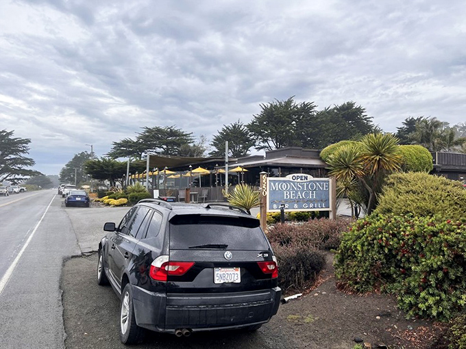 The roadside view that's easy to miss but impossible to forget. Travelers along Highway 1 who stop here join a special club of those who know California's true coastal treasures.
