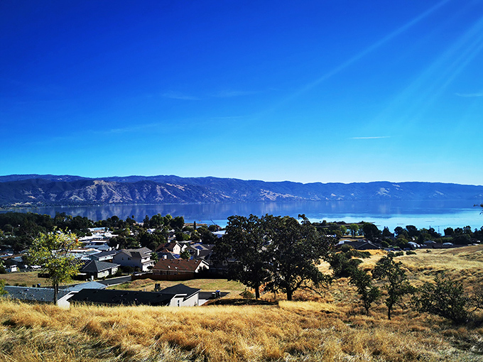 From this hillside vantage point, Lakeport reveals itself as a community nestled between golden California hills and Clear Lake's blue embrace.