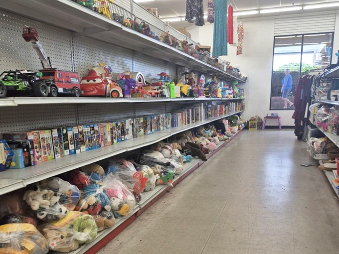 Childhood magic fills every corner, where yesterday's favorites become today's perfect discoveries.